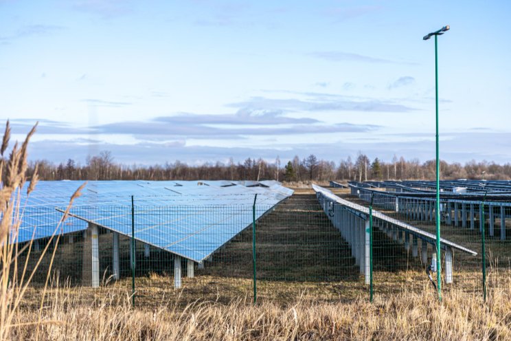 Vertical agrivoltaics boost energy without reducing yield - Hortimedia