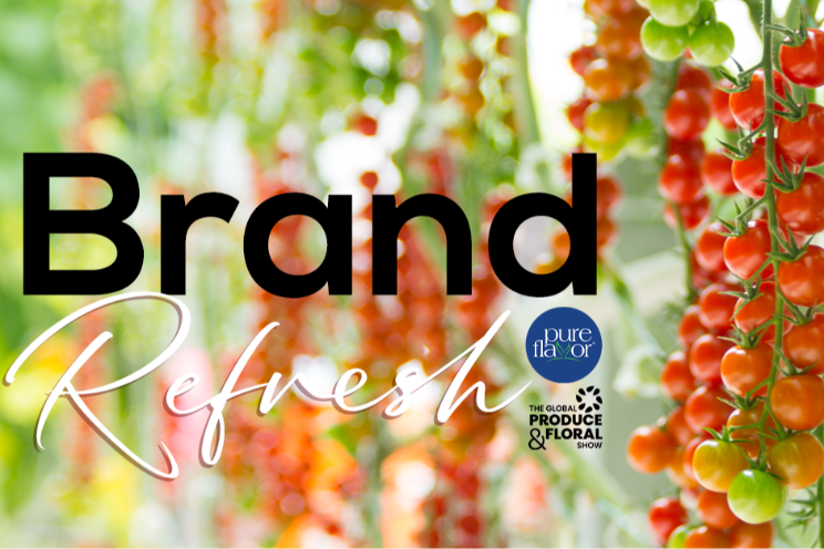 Pure Flavor to reveal strategic brand refresh at IFPA 2025 - Hortimedia