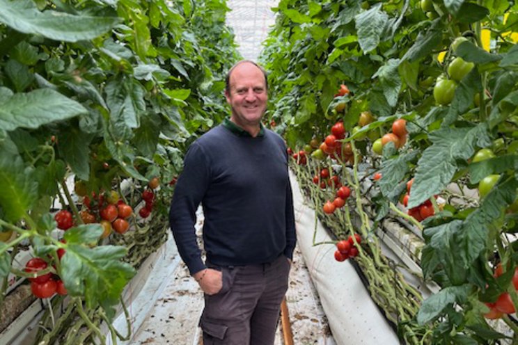 Tom d'Aqui goes from greenhouse to smarthouse - Hortimedia