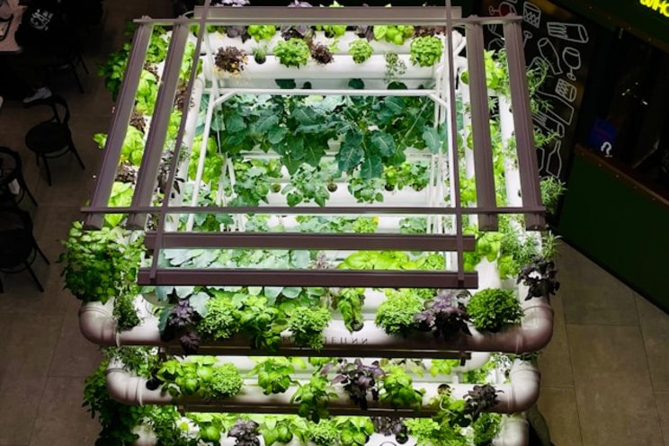 How agritech is reinventing global food security in 2025 - Hortimedia