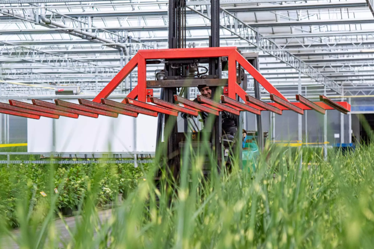 Gain first-hand insight into Belgian horti innovation - Hortimedia
