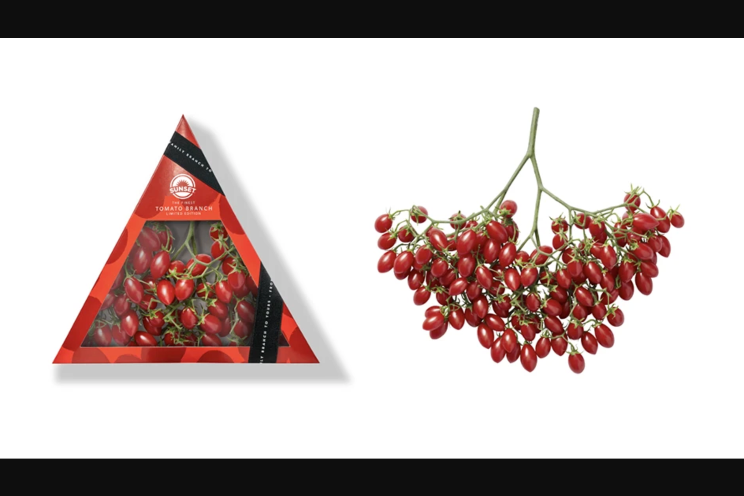 Sunset launches Tomato Branch triangular produce package - Hortimedia