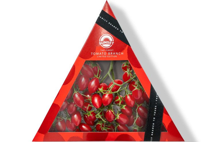 A new angle on tomatoes: Mastronardi unveils triangular pack - Hortimedia