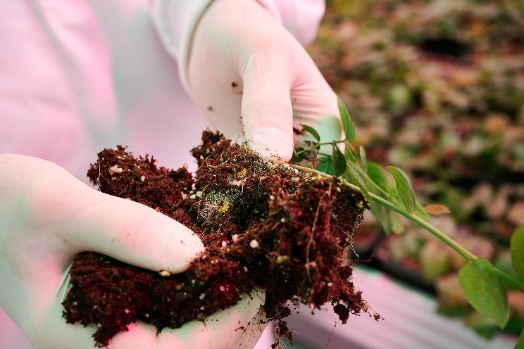 10 years of Growcoon evolution culminates at GreenTech 2025 - Hortimedia