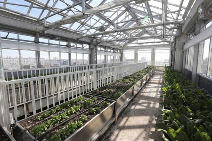 This unbelievable VF in Paris is redefining urban agriculture - Hortimedia