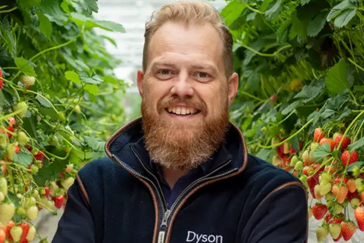 Dyson's high-tech strawberry greenhouse - Hortimedia