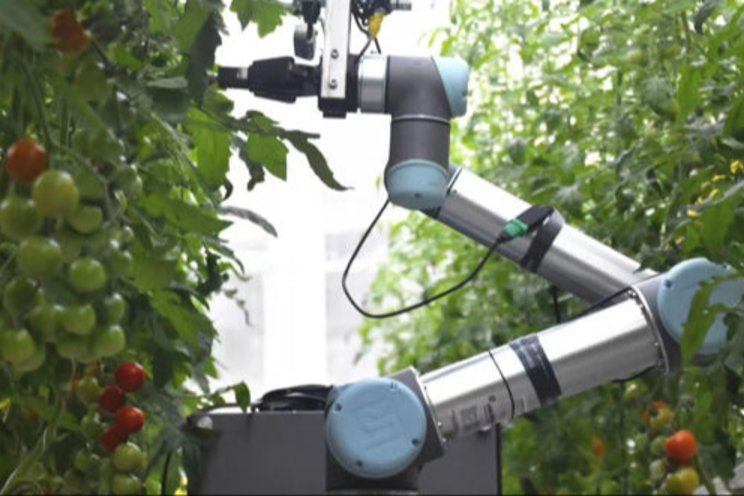 New robot GEAIR transforms plant breeding - Hortimedia