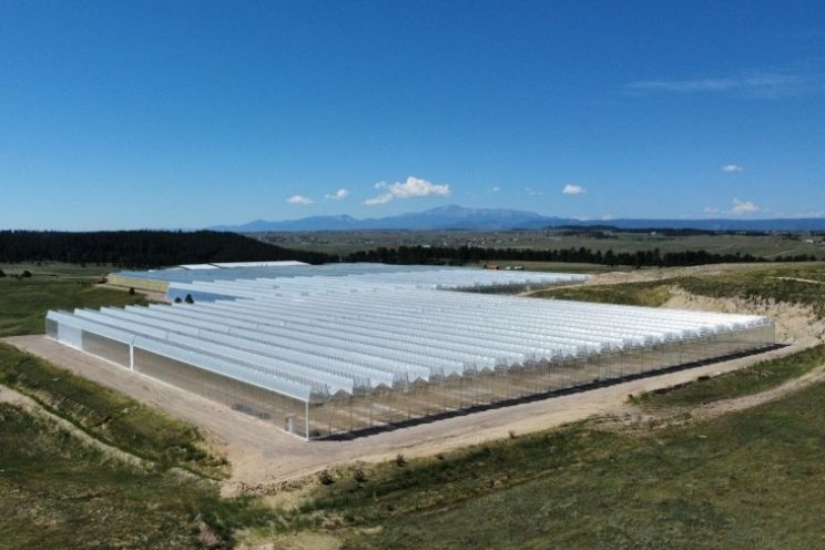 Dutch Heritage Gardens launches new Heritage Young Plants program ...