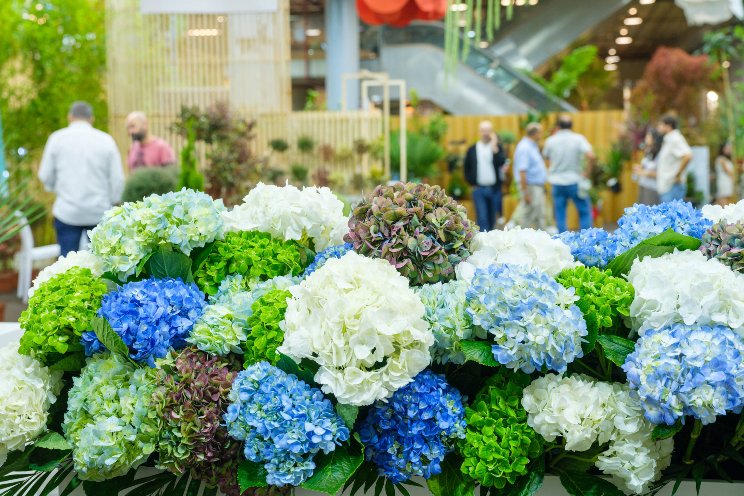 AIPH recognises Iberflora 2025 as international horti trade show ...