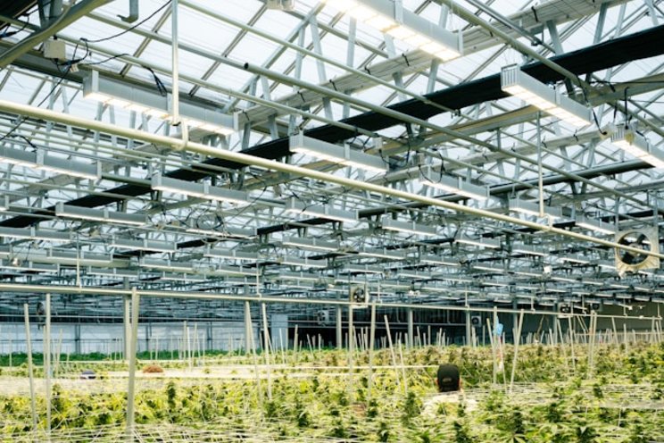 Measuring daily light integral for greenhouse production - Hortimedia