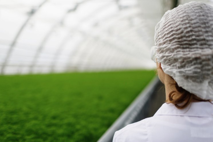 Key trends cultivating the future of farming in 2025 - Hortimedia