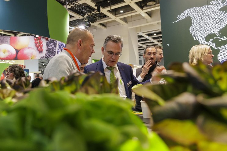 Fruit Logistica 2026: Rijk Zwaan showcases innovations - Hortimedia