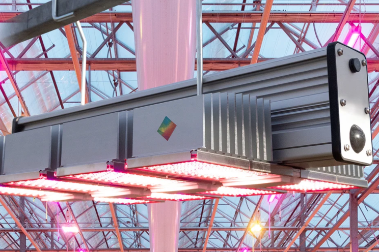 Multichannel LED: necessity or nice-to-have for optimal growth ...