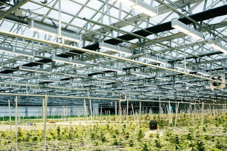 Greenhouse Grower's state of the industry survey is now open - Hortimedia