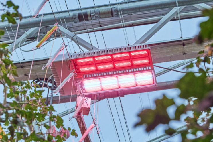 Philips Horticulture LED Solutions joins Plant Empowerment network ...