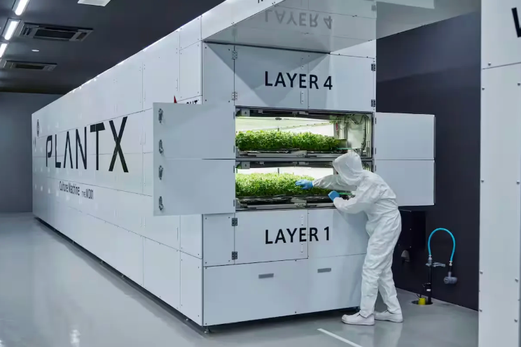 Sealed crop boxes redefining vertical farming - Hortimedia