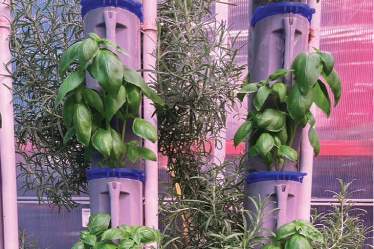 What is vertical farming? Everything you should know - Hortimedia