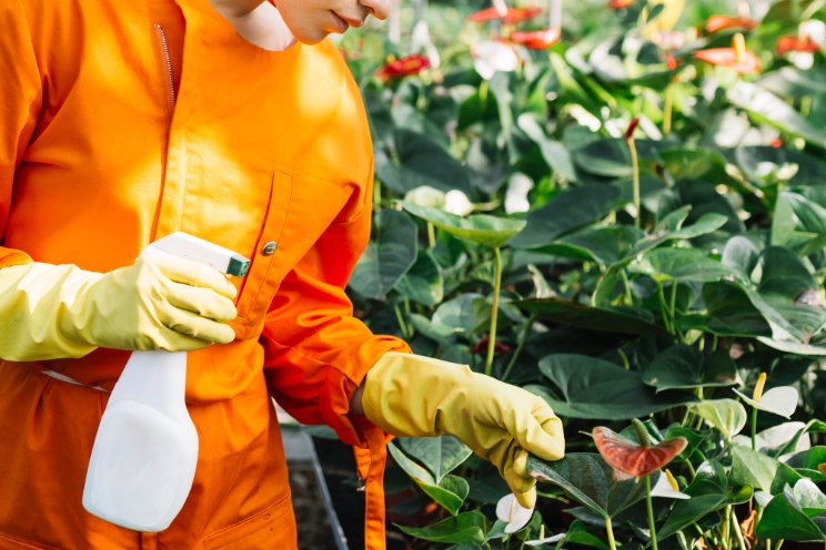 BioWorks strengthens R&D team with biological control expert - Hortimedia