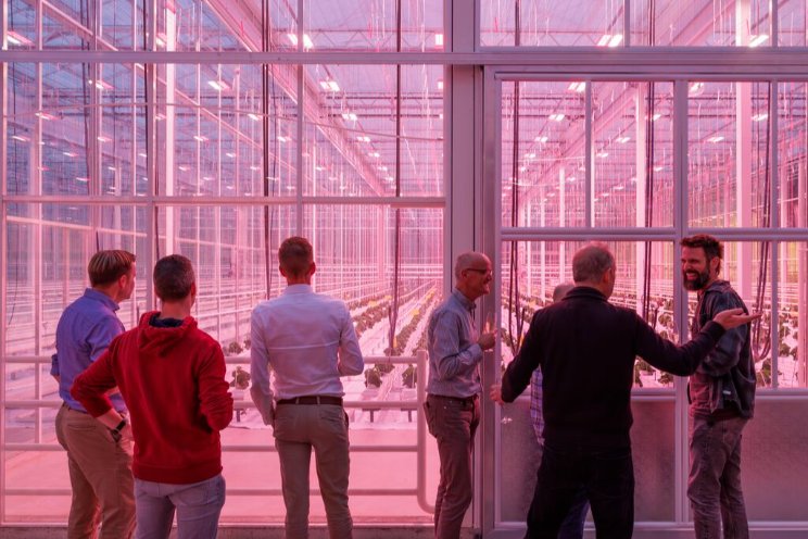 Rijk Zwaan expands breeding and research capacity - Hortimedia