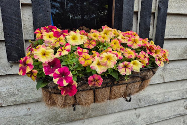 Voting is now open for the 2026 Green Thumb Award program! - Hortimedia