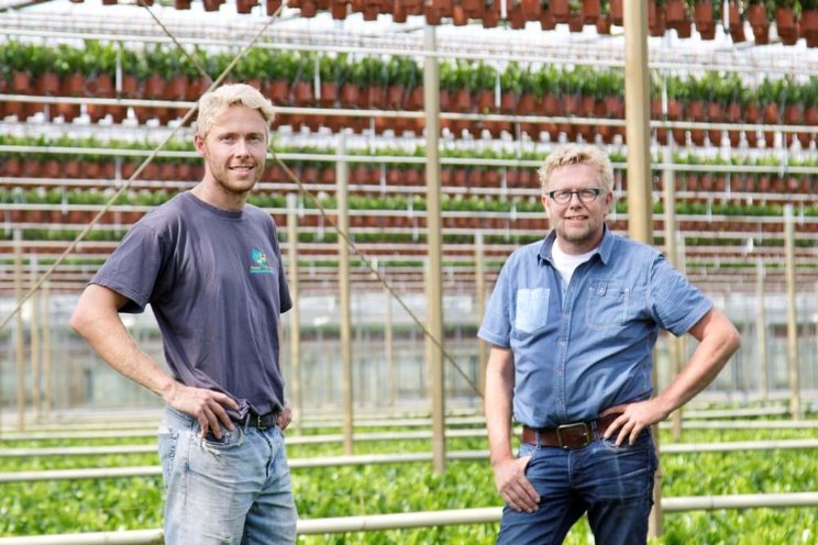 In the Spotlight: Kwekerij van Winden - Hortimedia