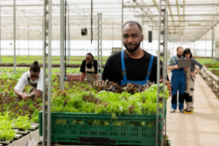 How to master greenhouse inventory management - Hortimedia