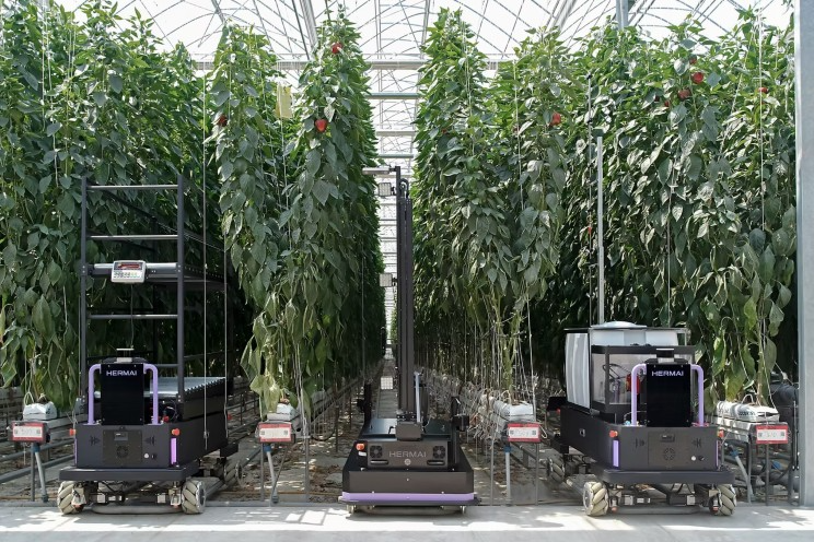 AI-powered autonomous robots like HERMAI to boost efficiency - Hortimedia