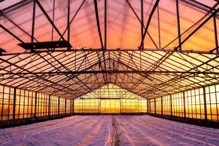 UP offers 50% subsidy for poly house, greenhouse construction - Hortimedia