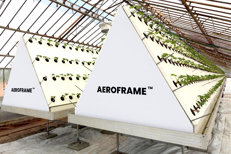 Freya Cultivation Systems launches new greenhouse projects - Hortimedia