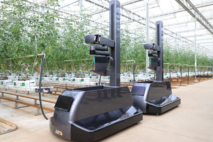 Greenco joins inaho's 2026 snack tomato robot trial - Hortimedia