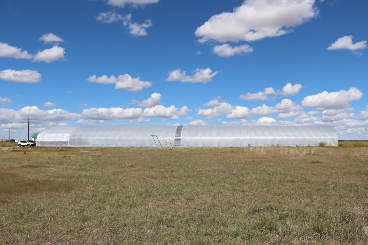 Rimaco Greens unveils world's first 100% sealed, pressurized greenhouse ...