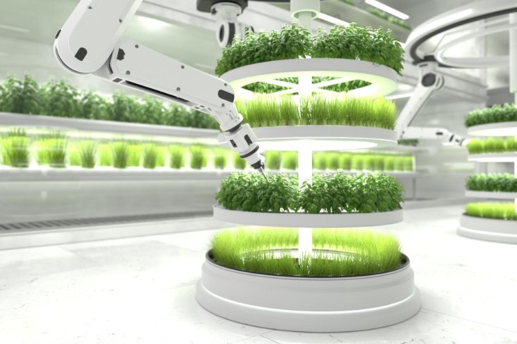 Automation of vertical farms: How robots are revolutionizing CEA ...