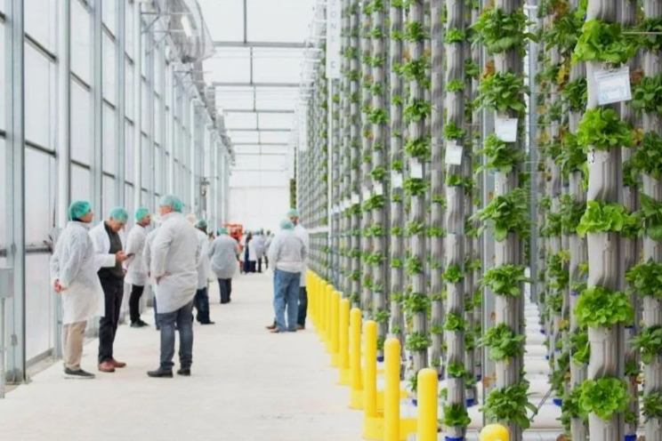 The 21 biggest vertical farming companies in operation - Hortimedia