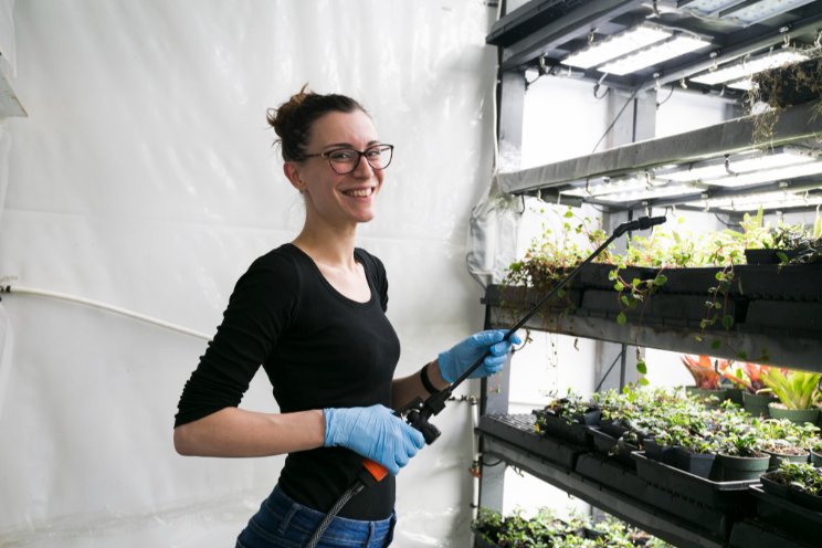 Turn any corner into a mini farm - Hortimedia