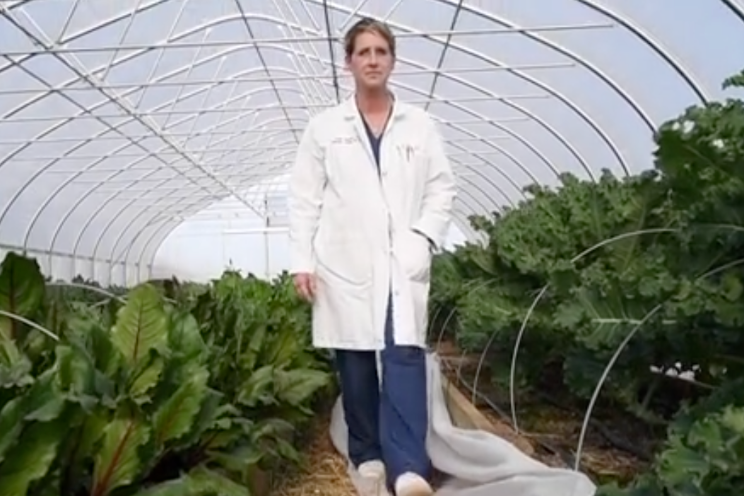 Farm to hospital: Year-round greenhouse farm serving fresh produce ...