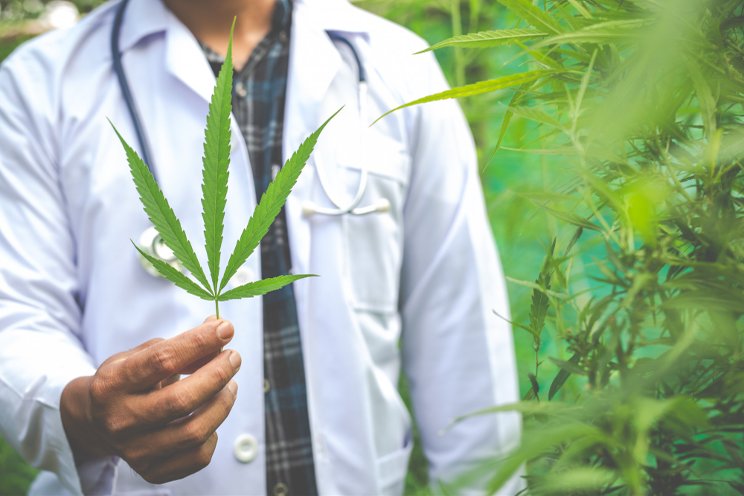 Experts Insights On Health Benefits Of Cannabis Hortimedia
