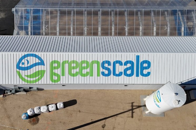 Greenscale partners with Boise Vertical Farm to grow aquaponics ...