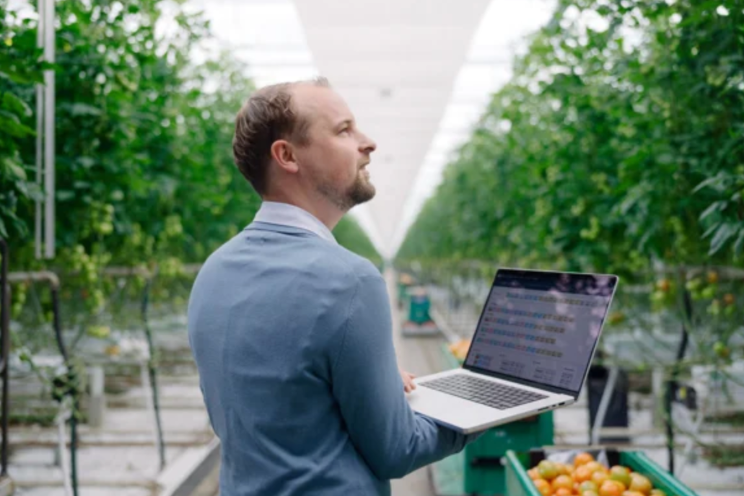 Data- driven growing: smarter control, less manual work - Hortimedia