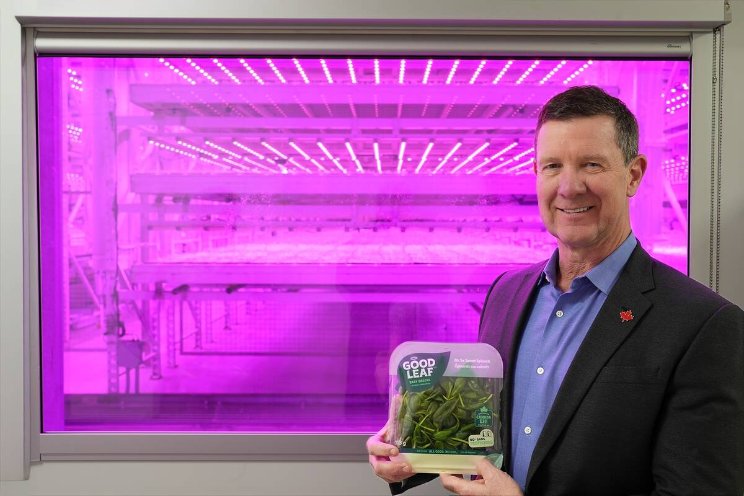 Canadian vertical farm GoodLeaf Farms on track for profitability ...
