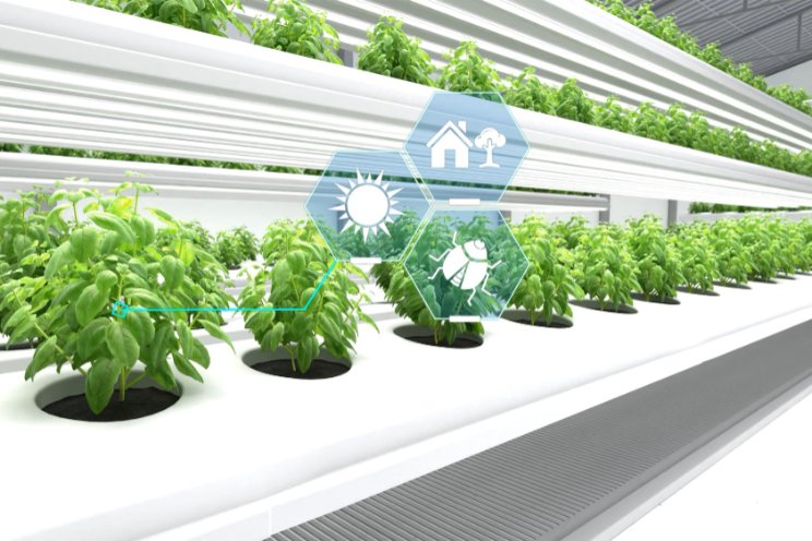 Beyond the dashboard: The future of greenhouse data visualization ...