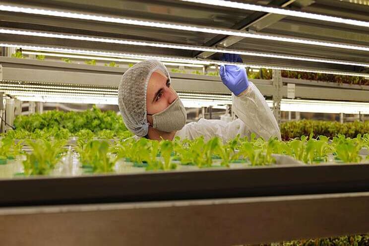 Energy and LED costs and differences of vertical farms - Hortimedia Energy and LED costs and differences of vertical farms - Hortimedia